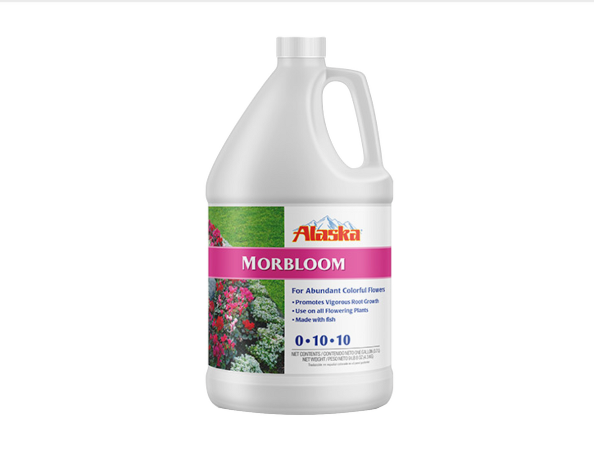 Alaska Morbloom – HYDROTECH HYDROPONICS