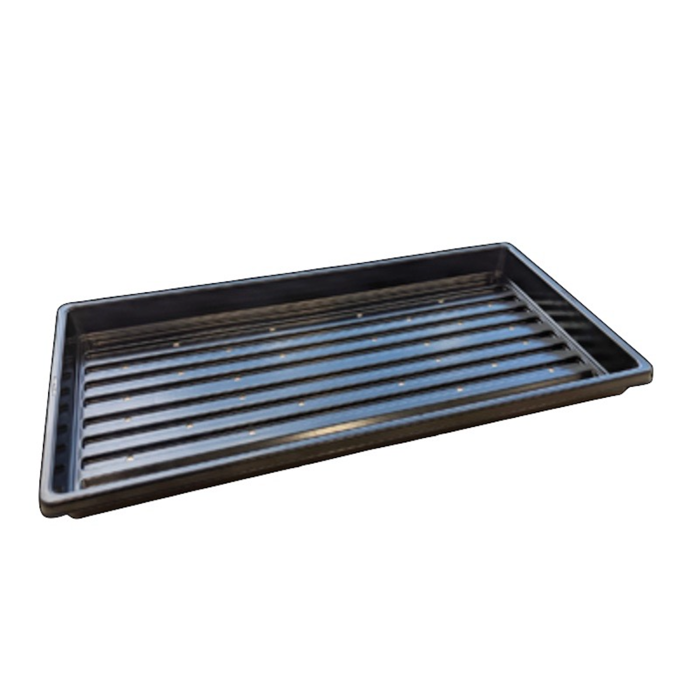 Mondi Shallow Propagation Tray With Holes – HYDROTECH HYDROPONICS